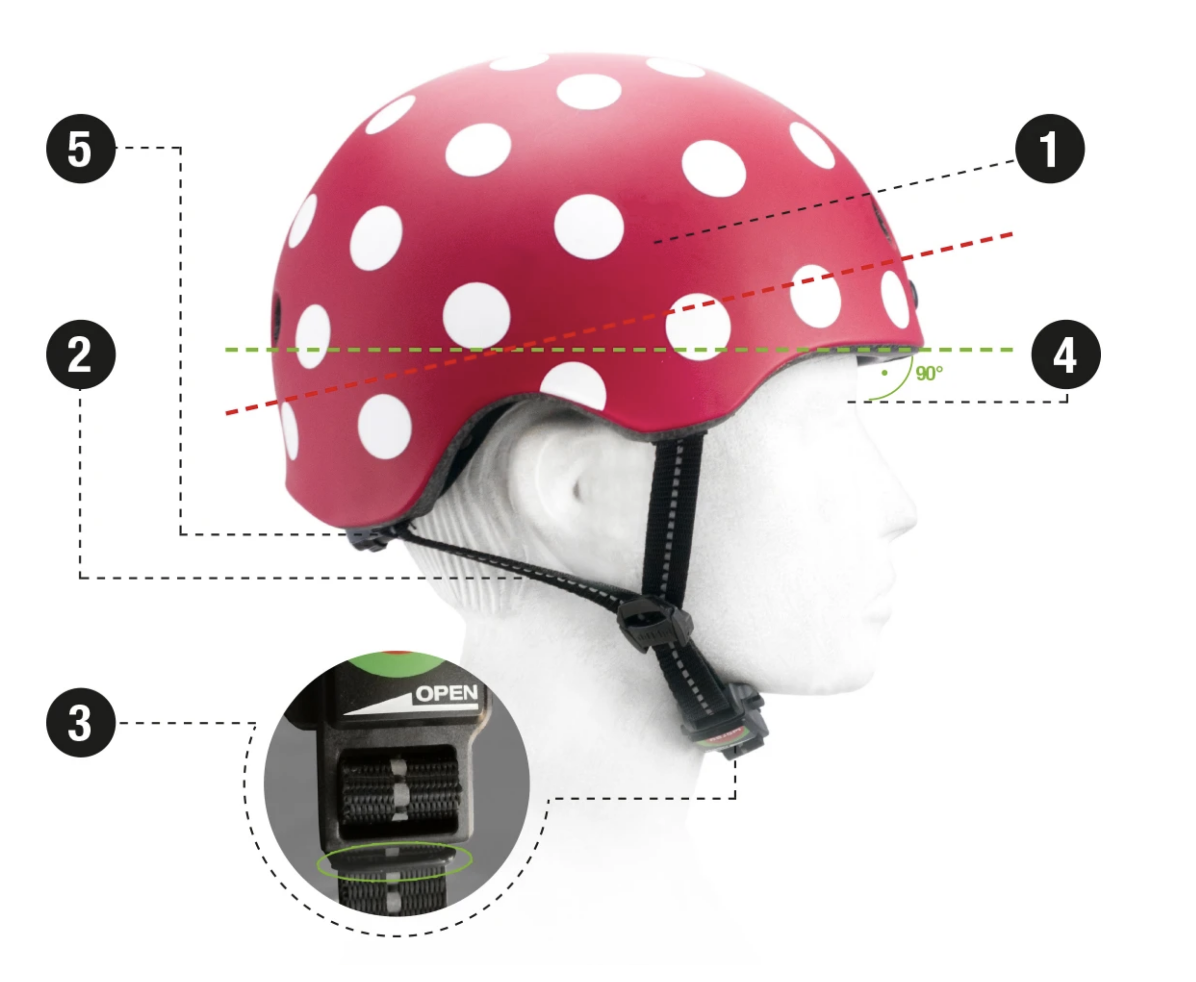 Cruzee Thailand - 5 STEPS TO ADJUST YOUR HELMET CORRECTLY